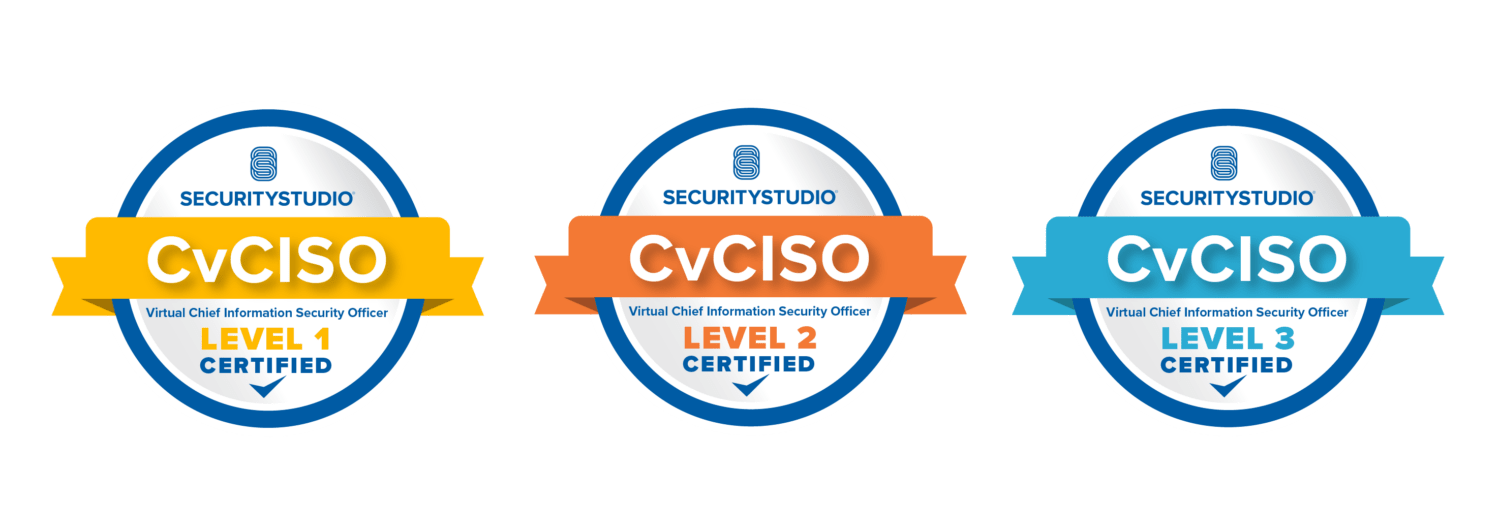 Cyber Revenue Streams for MSPs- 11 Ways to Increase Profits - SecurityStudio